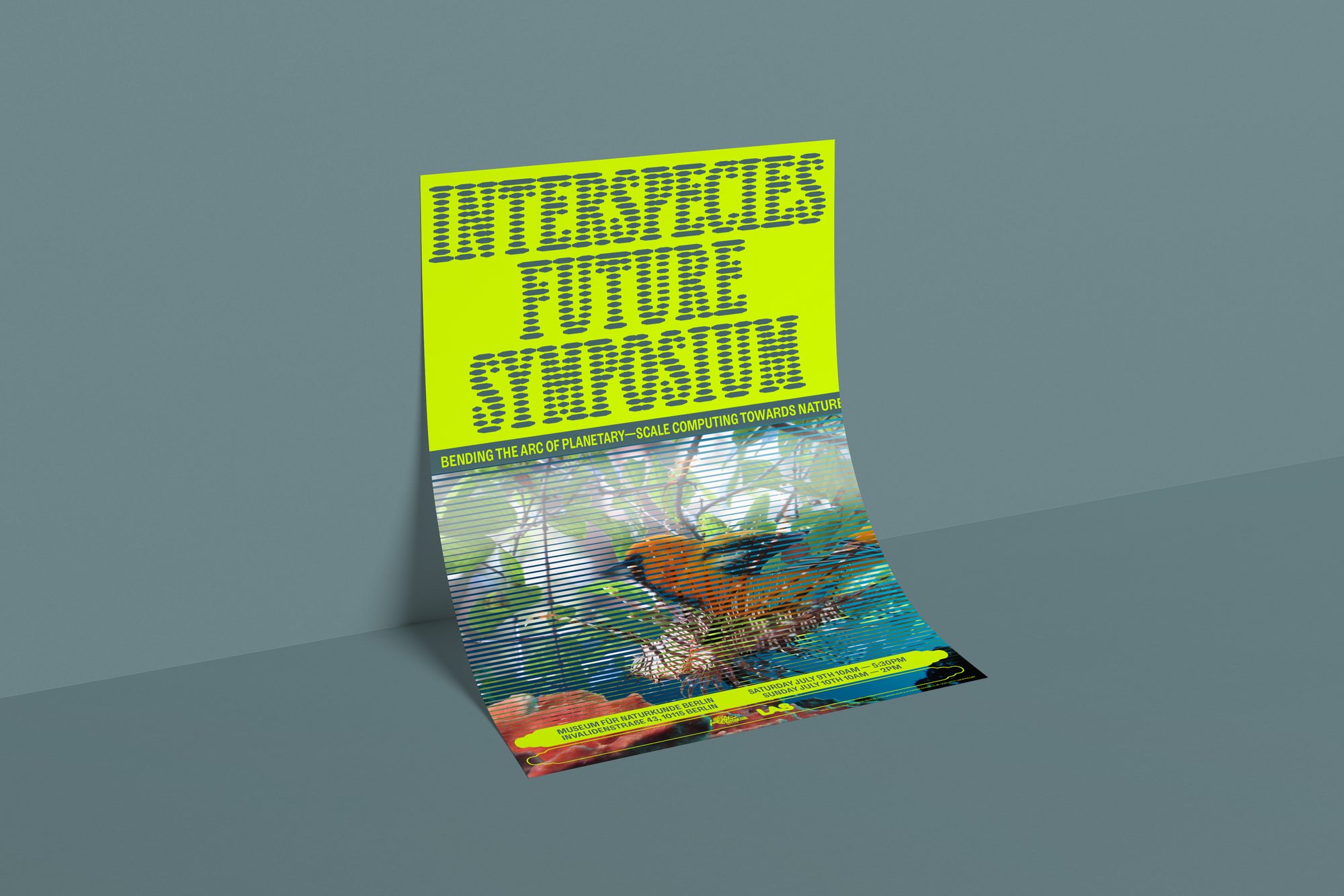 Interspecies Future | Violet Office