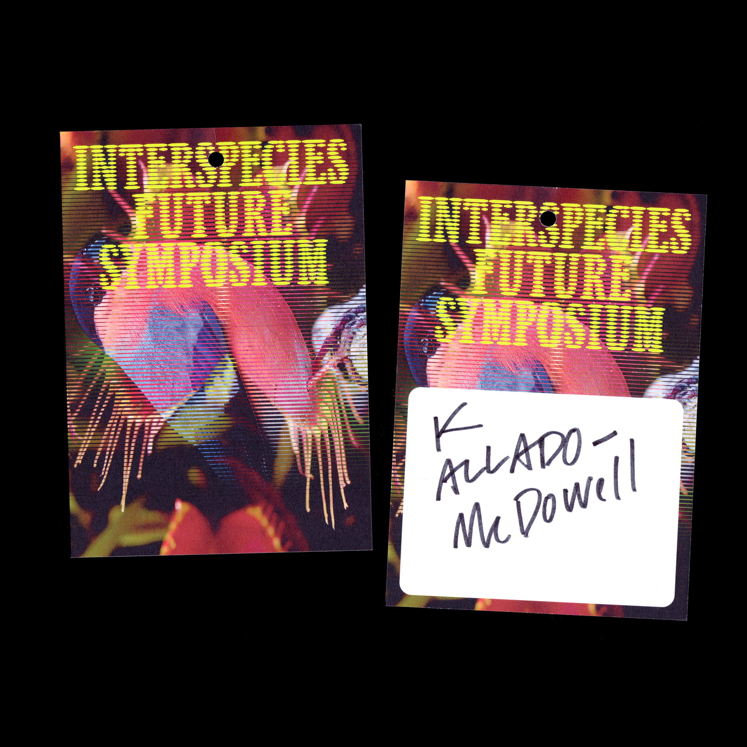 Interspecies Future | Violet Office