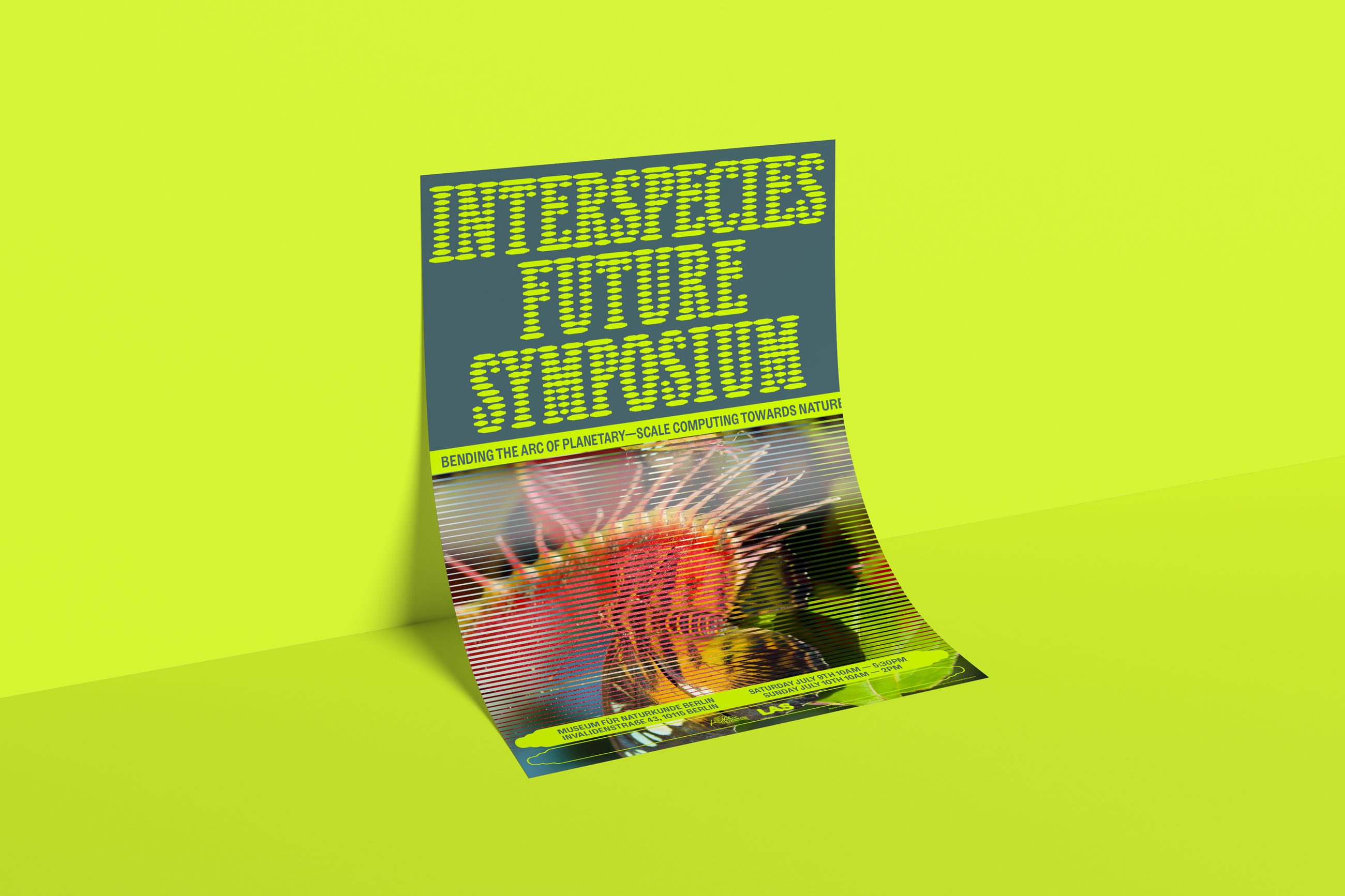 Interspecies Future | Violet Office