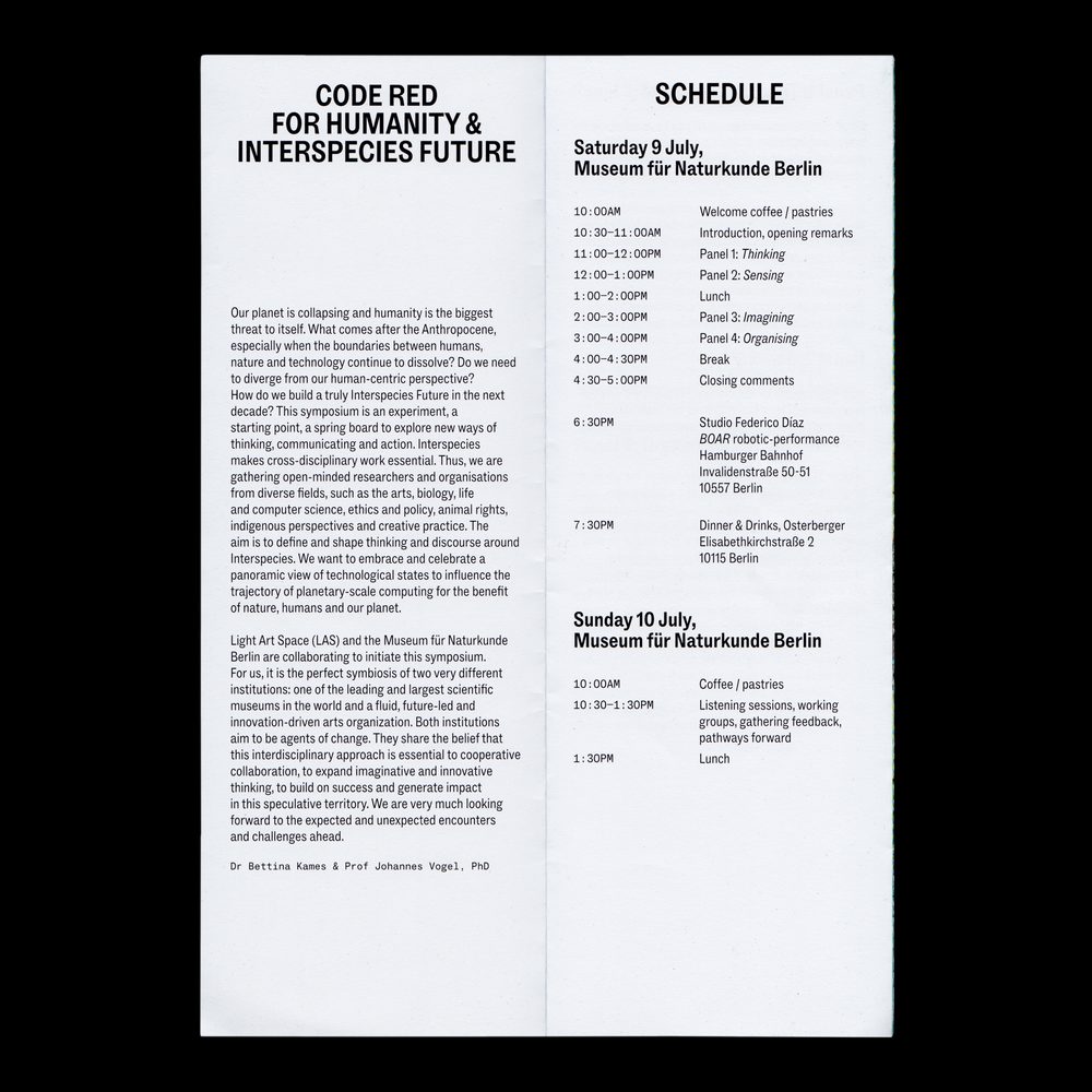 Interspecies Future | Violet Office