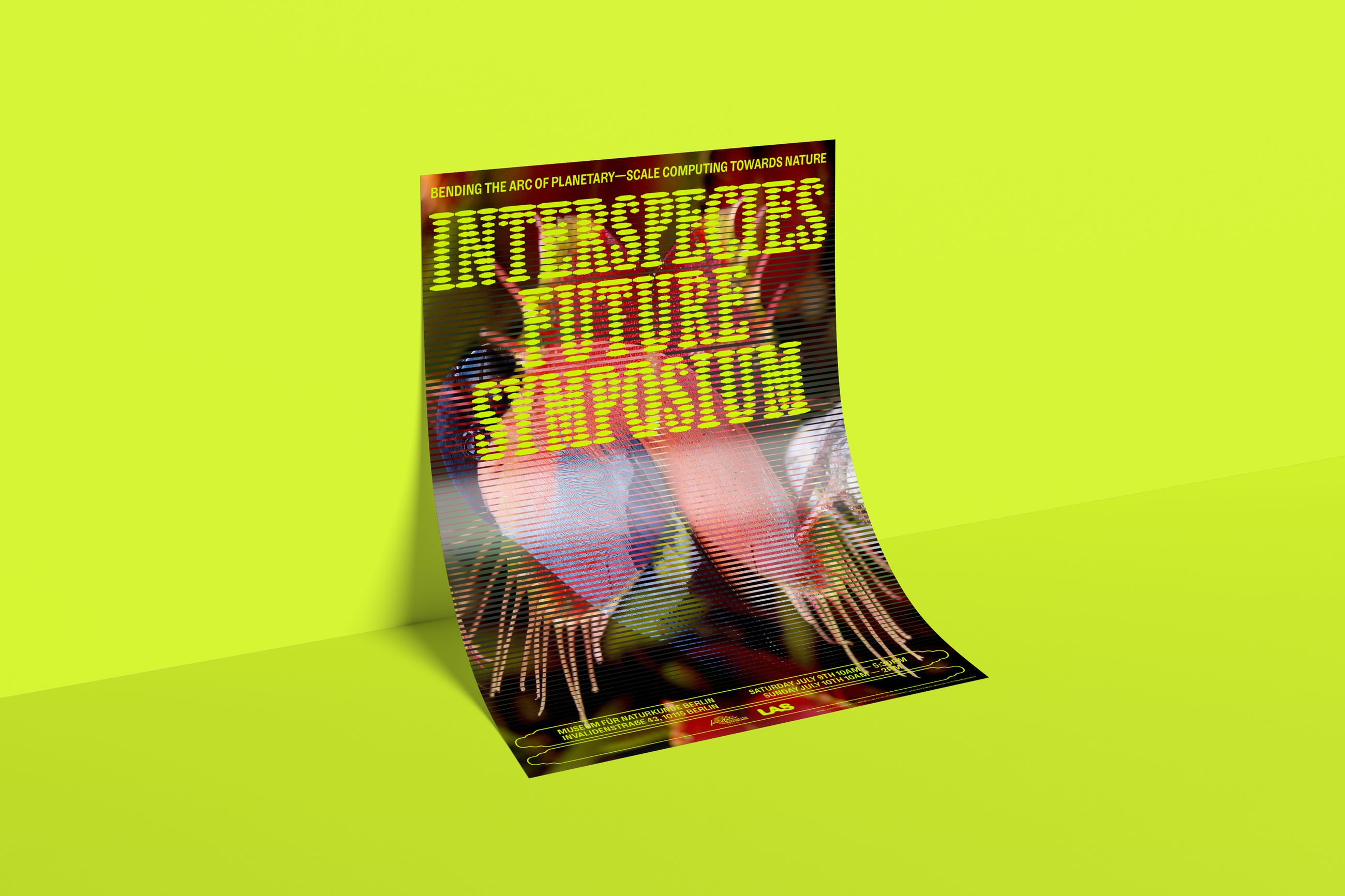 Interspecies Future | Violet Office