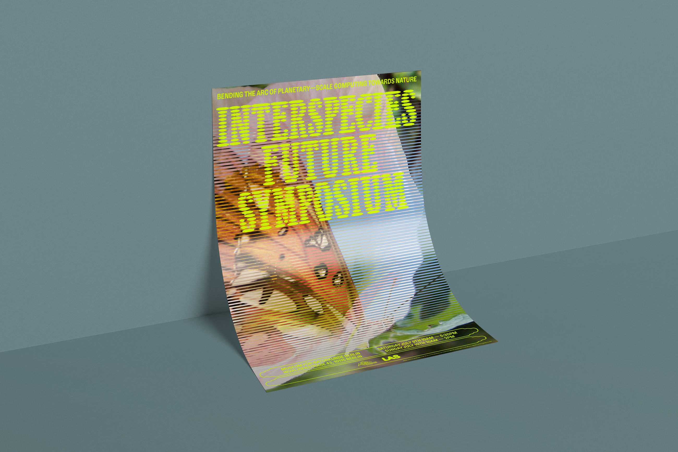 Interspecies Future | Violet Office