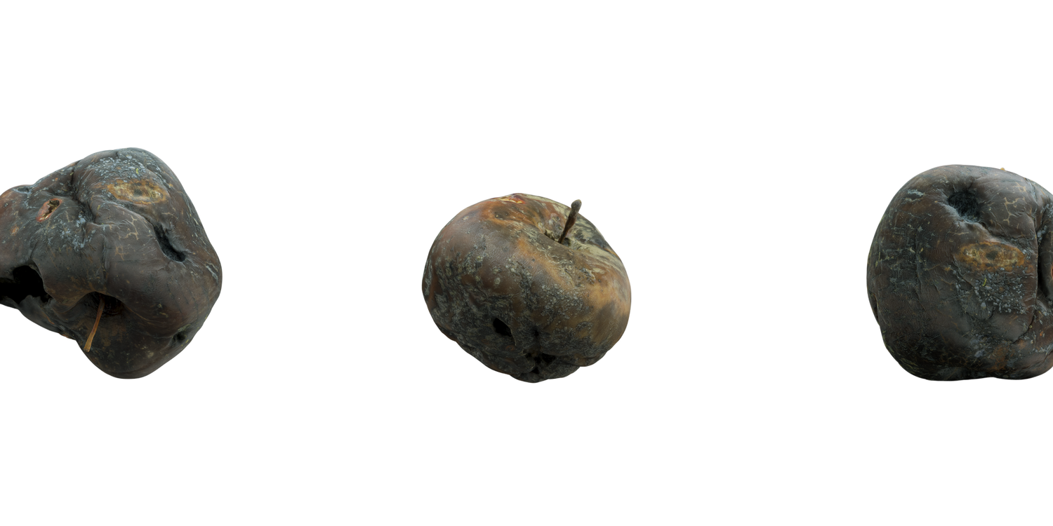 The Weeknd: Dawn FM | Violet Office